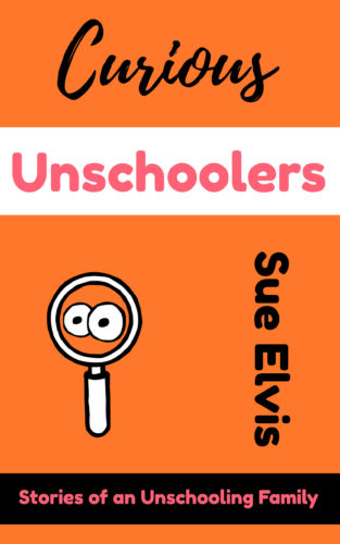 Navigating My Unschooling Blog - Stories of an Unschooling Family