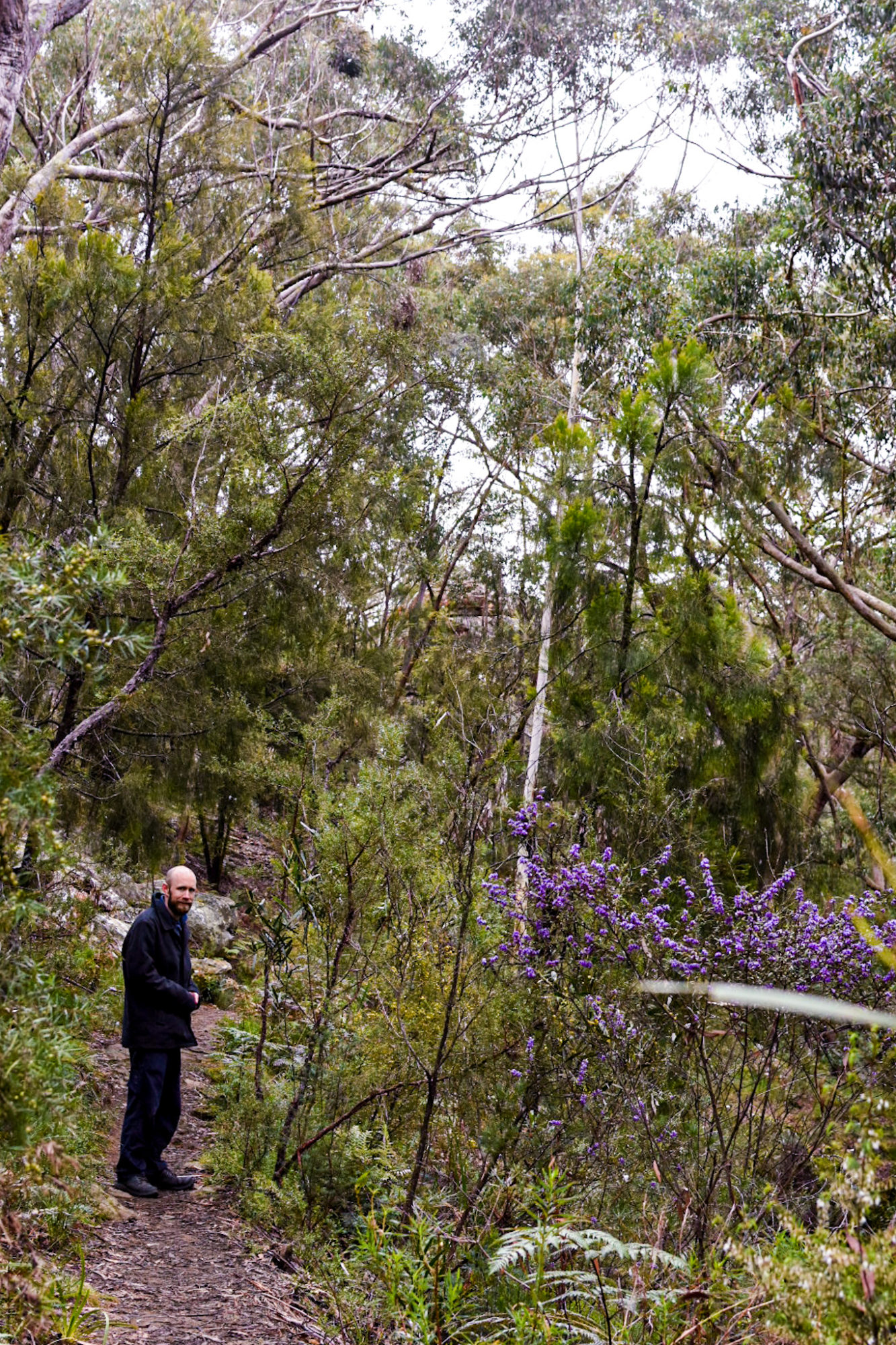 Unschooling Poster Kids - Stories of an Unschooling Family